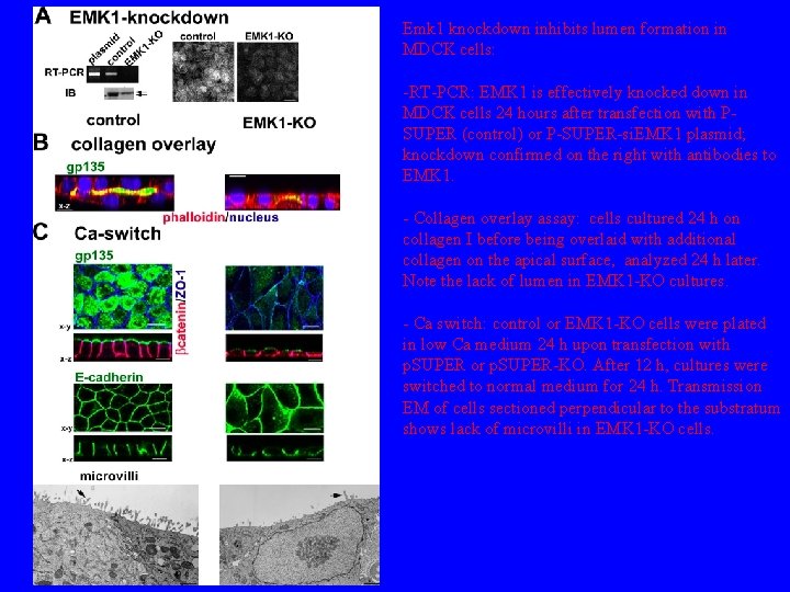 Preparing and Giving an Effective Scientific Presentation using