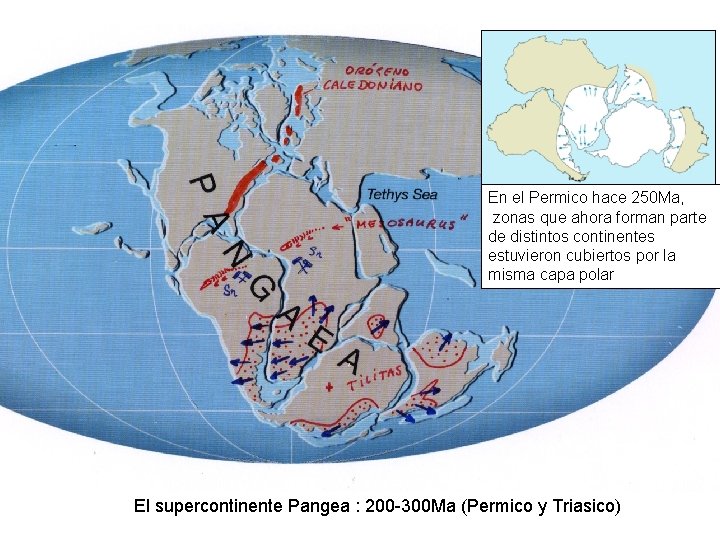 Tema 2 tectnica de placas CRATONES Y ESCUDOS