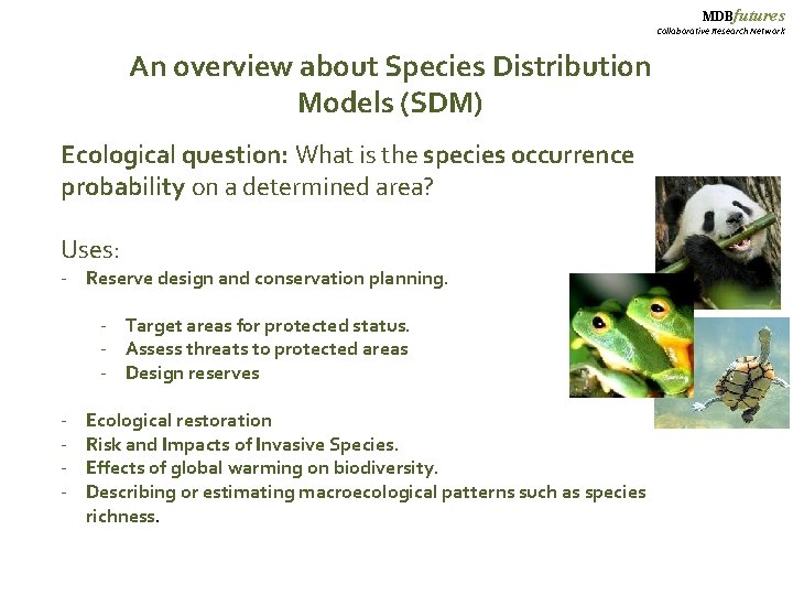 STATISTICS NETWORKING DAY Species Distribution Models SDM for