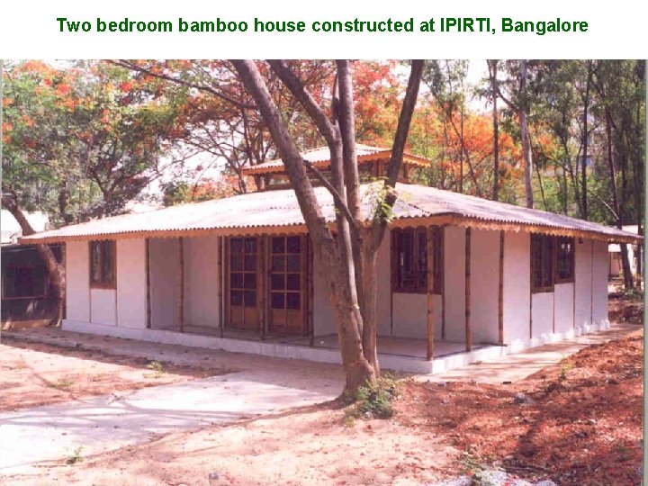 Bamboo as a Material for Housing and Buildings