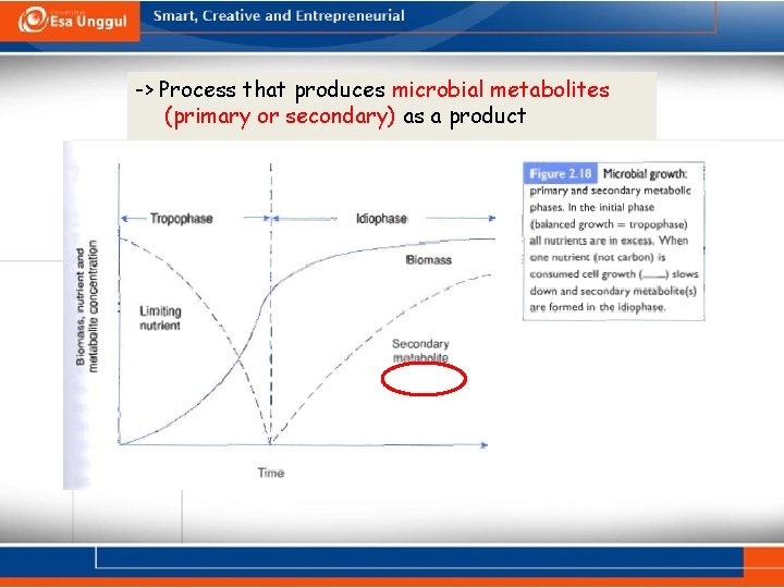 METABOLIT PRIMER DAN SEKUNDER PERTEMUAN 8 PUTU GMW