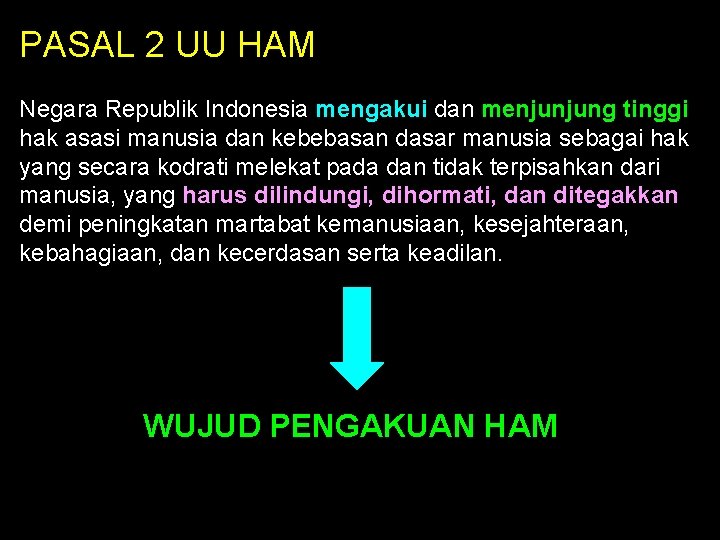 LEMBAGA PERLINDUNGAN HAM DAN MEKANISME PENYELESAIAN PELANGGARAN HAM