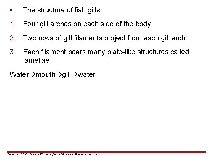 2019 Biology 2 Chapter 22 Gas Exchange Copyright