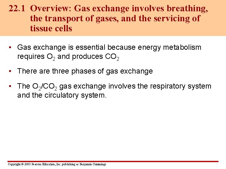 2019 Biology 2 Chapter 22 Gas Exchange Copyright