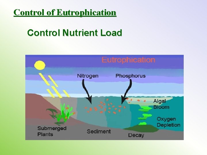 The Basics of Phosphorus Removal Prepared by Michigan