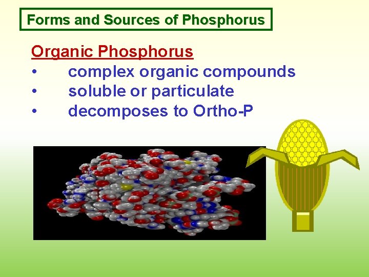 The Basics of Phosphorus Removal Prepared by Michigan