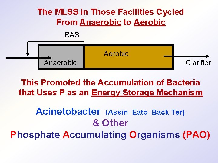 The Basics of Phosphorus Removal Prepared by Michigan
