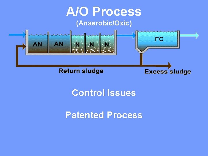 The Basics of Phosphorus Removal Prepared by Michigan