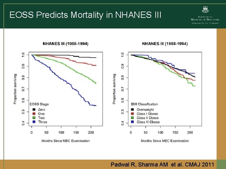 The Edmonton Obesity Staging System EOSS Arya M