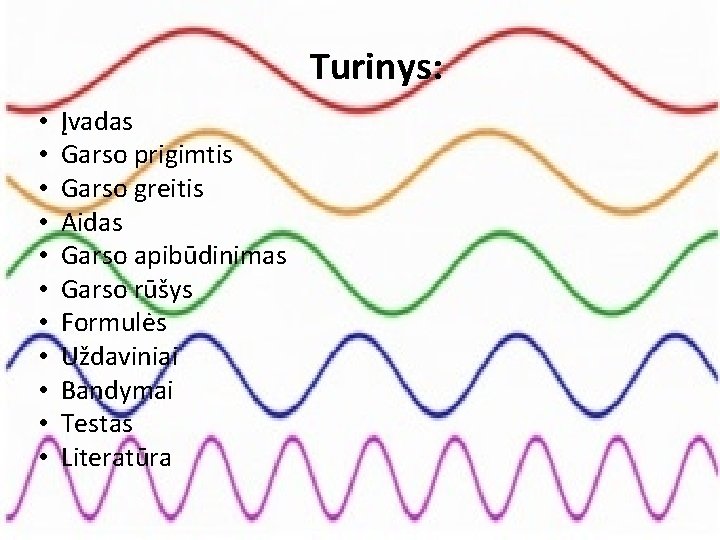 Akustika Buivydiki pagrindin mokykla Burokait Migl 8 kl