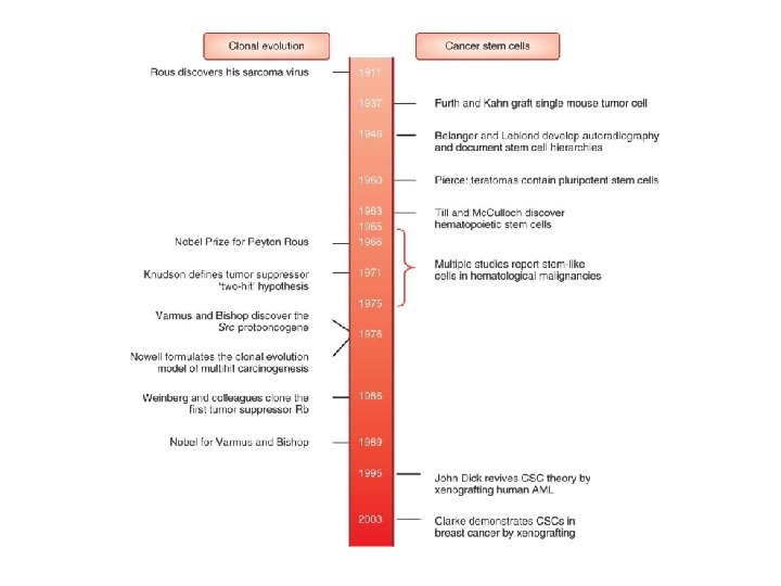 Robert A Weinberg The Biology of Cancer First