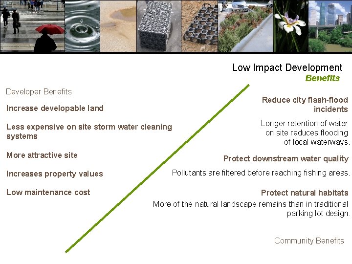 Urban Low Impact Development Parking Lot Case Study