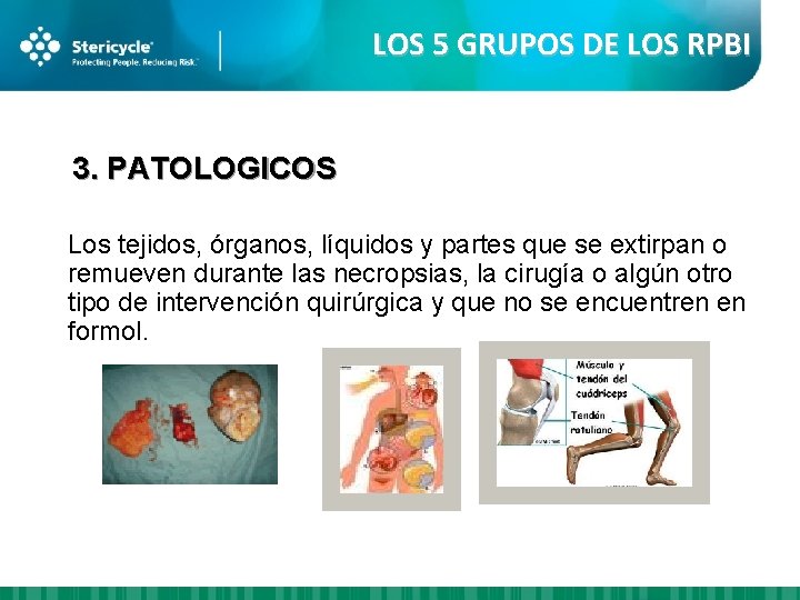 Manejo Integral de Residuos Peligrosos CRETIB ING TANIA