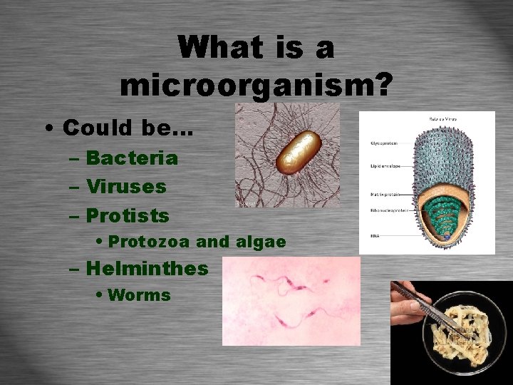 Main Themes in Microbiology Chapter 1 Humans are