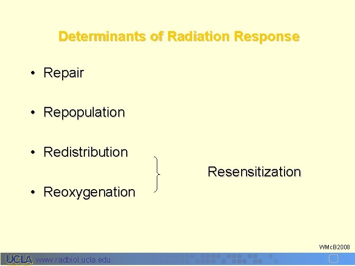 The Radiobiology Behind Alternate Physical Forms of Radiation