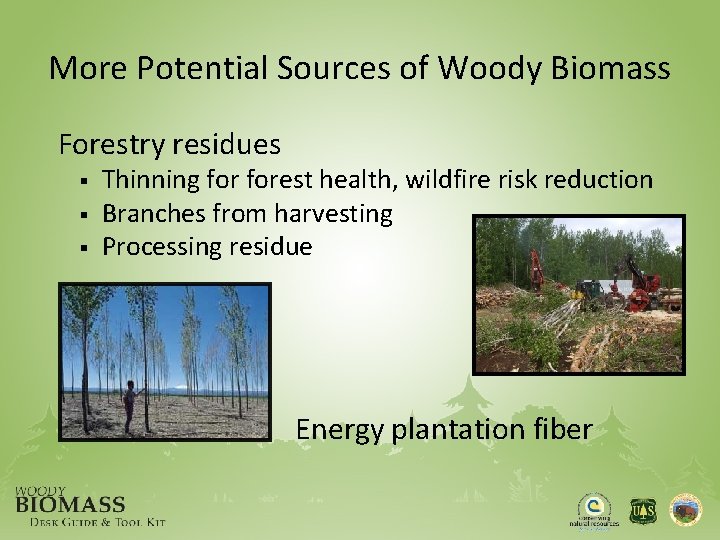 Woody Biomass Overview Energy Demand Worldwide demand for