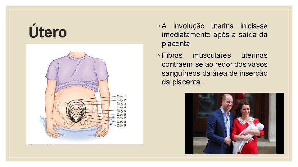 PUERPRIO Profa Dra Luciana M Reberte Gouveia Definio