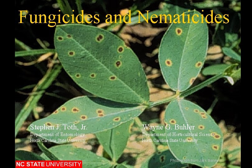 Fungicides and Nematicides Stephen J Toth Jr Wayne