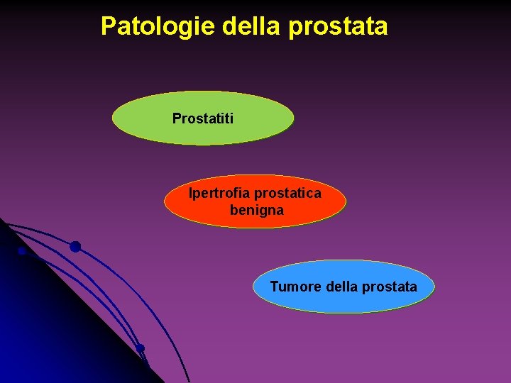 La patologia prostatica Ipertrofia Prostatica Benigna IPB Il