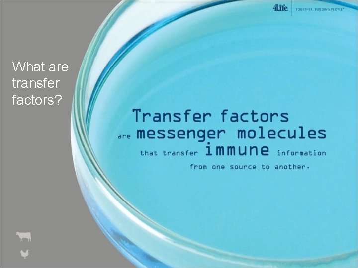 A story that will change everything Youre about