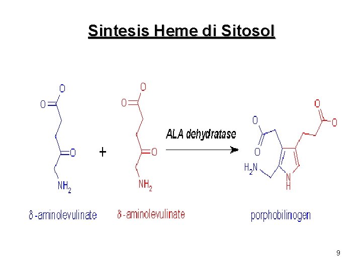 BIOSINTESIS HEMOGLOBIN PORFIRIN Oleh Dr Husnil Kadri M