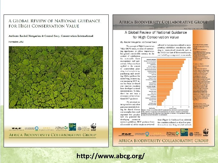 High Conservation Value HCV Review of national guidance