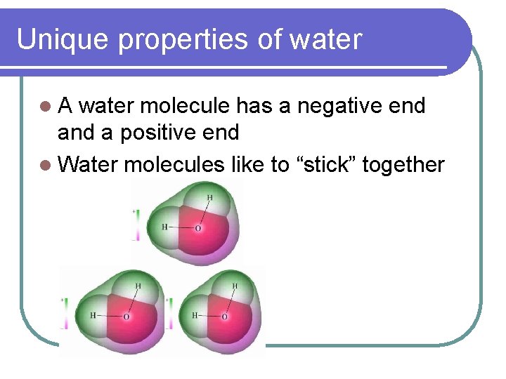 Ch 6 Chemistry of Life White Board Activity