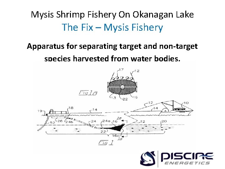 Mysis Shrimp Fishery On Okanagan Lake Nuri Fisher