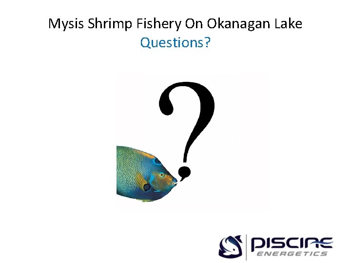 Mysis Shrimp Fishery On Okanagan Lake Nuri Fisher