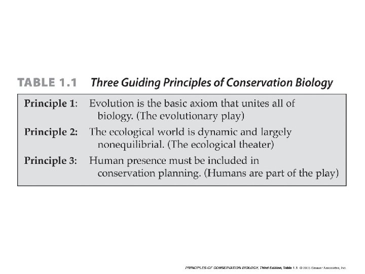 What is conservation Biology Conservation Biology came into