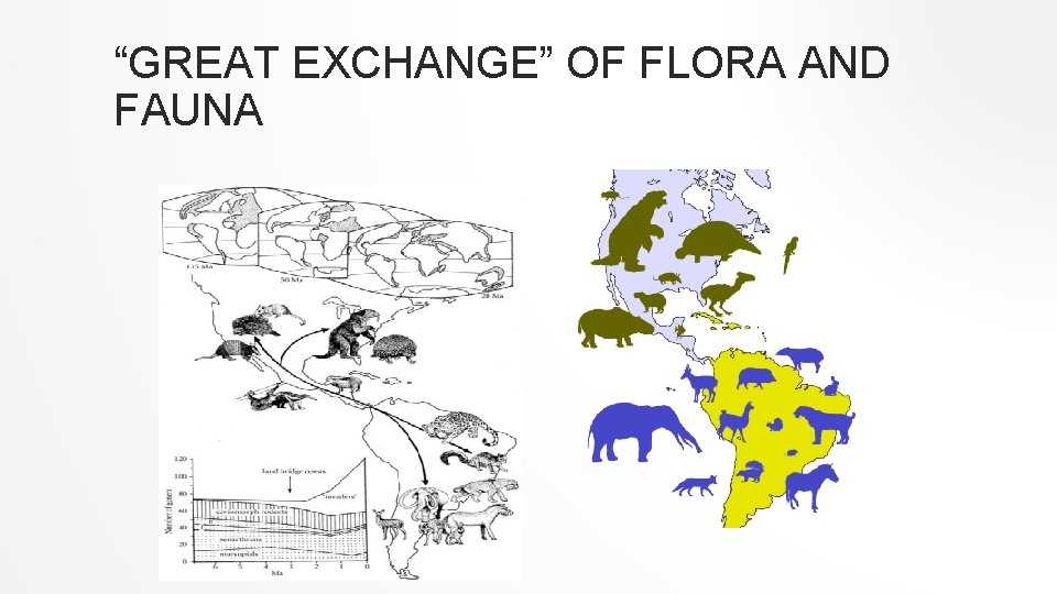 ENVIRONMENTAL DIVERSITY RESOURCES HAZARDS of Latin America Subtitle