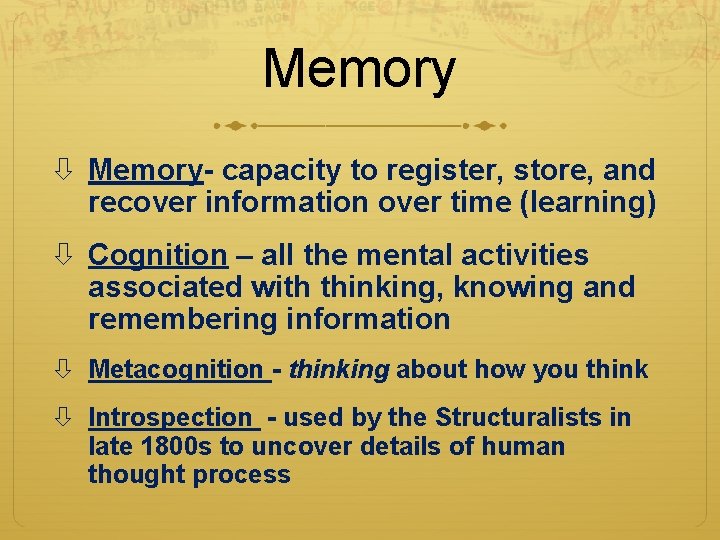 Cognition Memory Thought Chapter 11 Our filing system