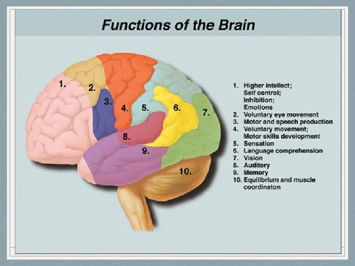 Traumatic Brain Injury in Veterans Robyn Mehlenbeck Ph