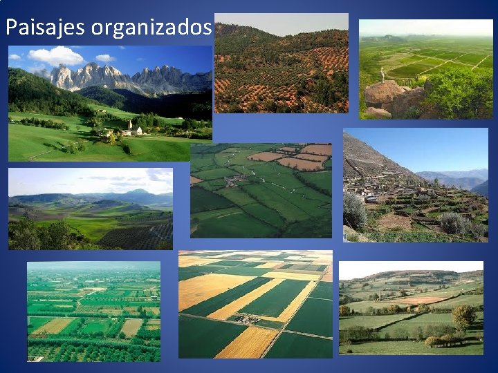 Unidad 4 Los espacios rurales El paisaje rural