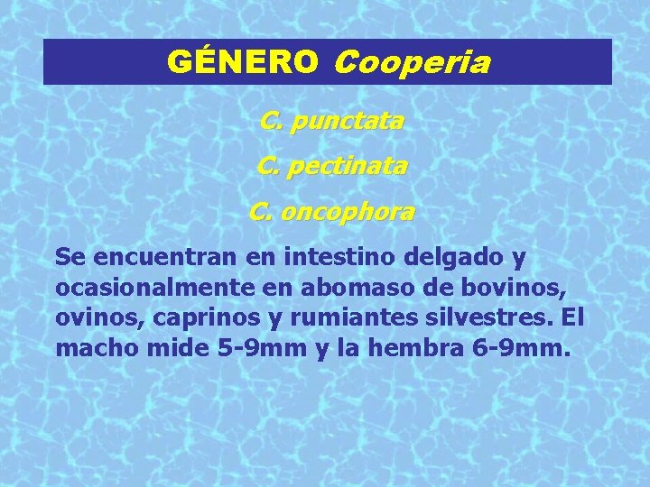 GASTRO ENTERITIS VERMINOSA EN RUMIANTES GNERO Haemonchus H