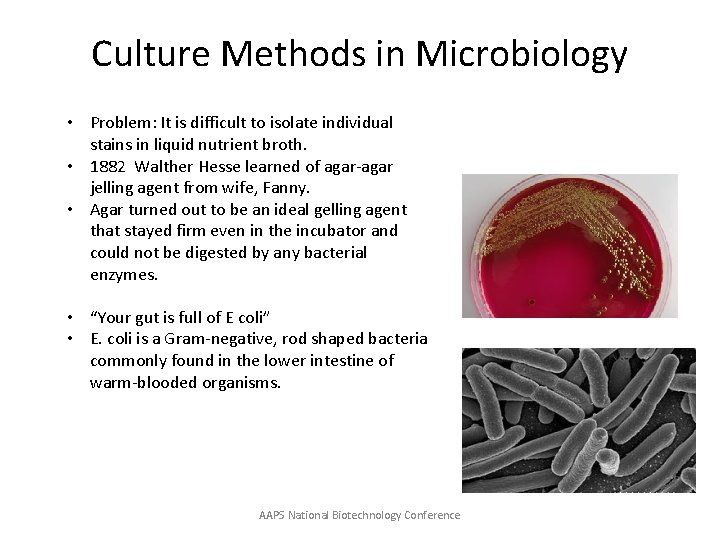 Big Data and How It Is Being Used