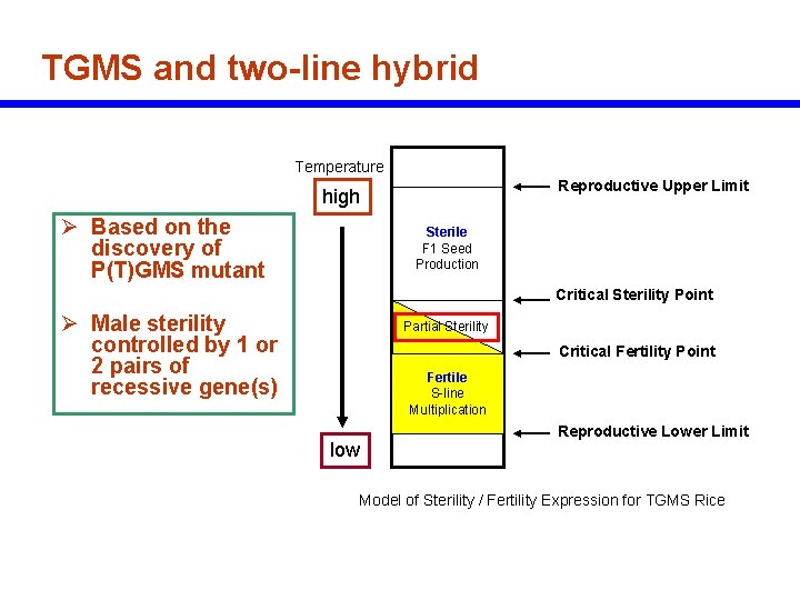 Hybrid Rice Breeding Seed Production FANGMING XIE International