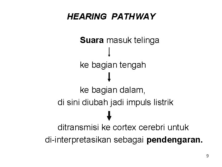 KKPMT III 6 TERMINOLOGI MEDIS SENSORY SYSTEM THE