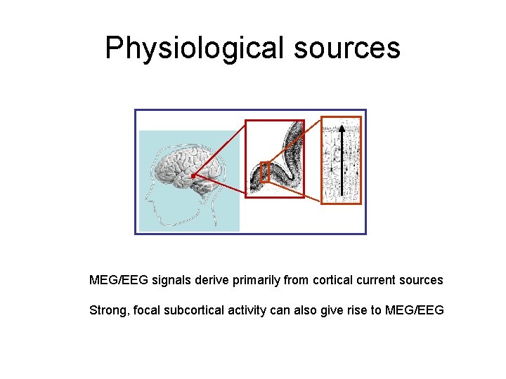 Physiological Basis of EEGMEG Signals Forward Models and