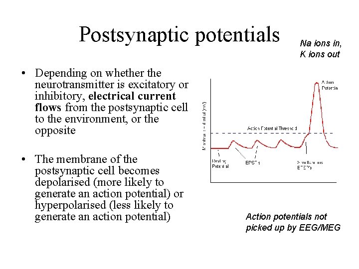 Physiological Basis of EEGMEG Signals Forward Models and