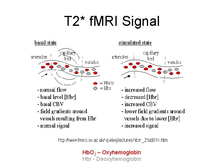Statistical Parametric Mapping Lecture 2 Chapter 8 Quantitative