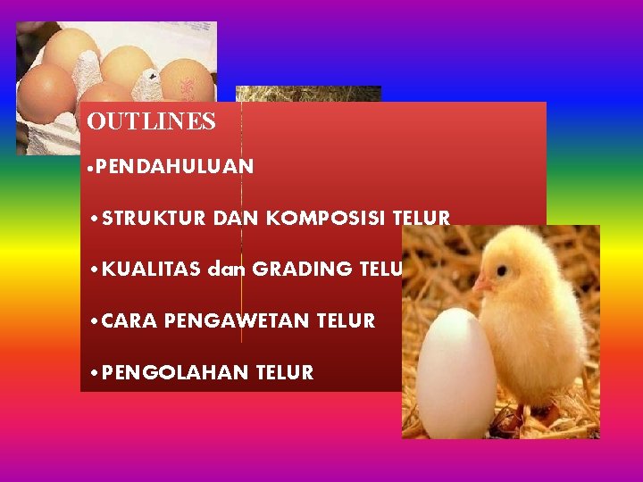 METODE PENGOLAHAN DAN METODE PENGAWETAN TELUR WYLLI SELVIANUS