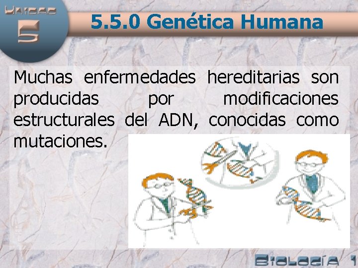 5 5 0 Gentica Humana La gentica humana