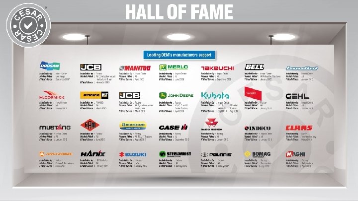 The Official CESAR Scheme Organised Crime on a