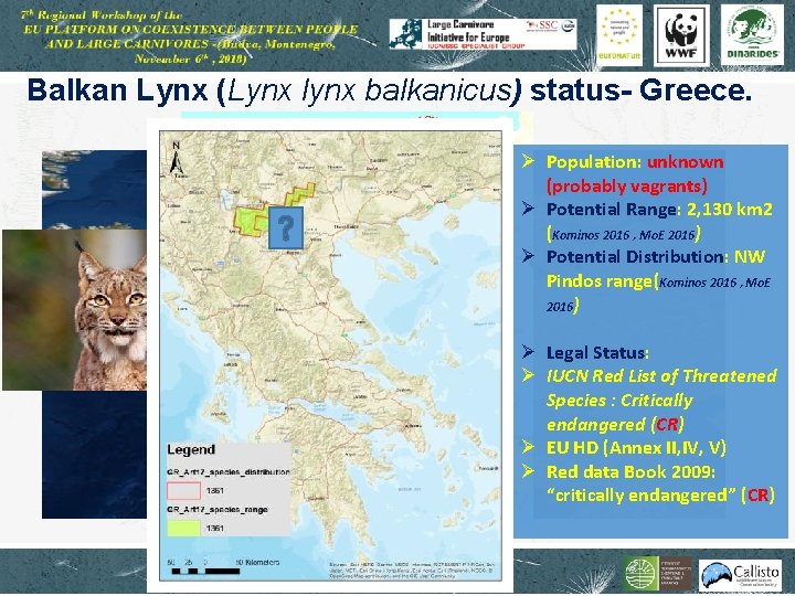 Large Carnivores status in Greecebrief overview Alex Kavvadia