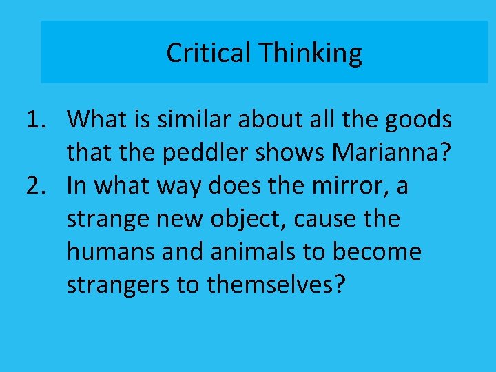 The Cat Who Thought She Was a Dog