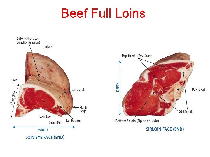 Beef Carcass and Primal Cuts Placing Why Meats
