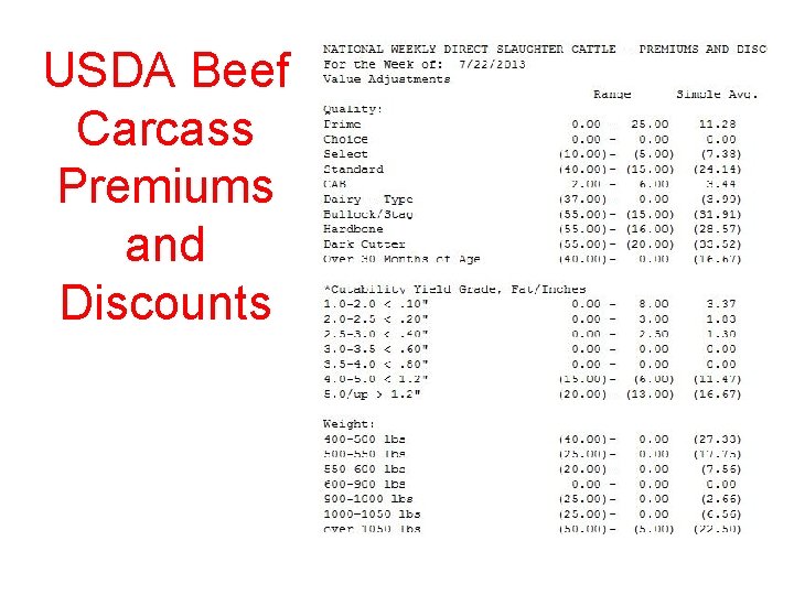 Beef Carcass and Primal Cuts Placing Why Meats