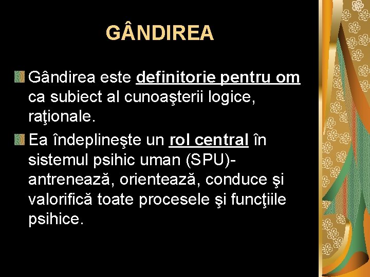 PROCESELE PSIHICE COGNITIVE I LIMBAJUL Din categoria proceselor
