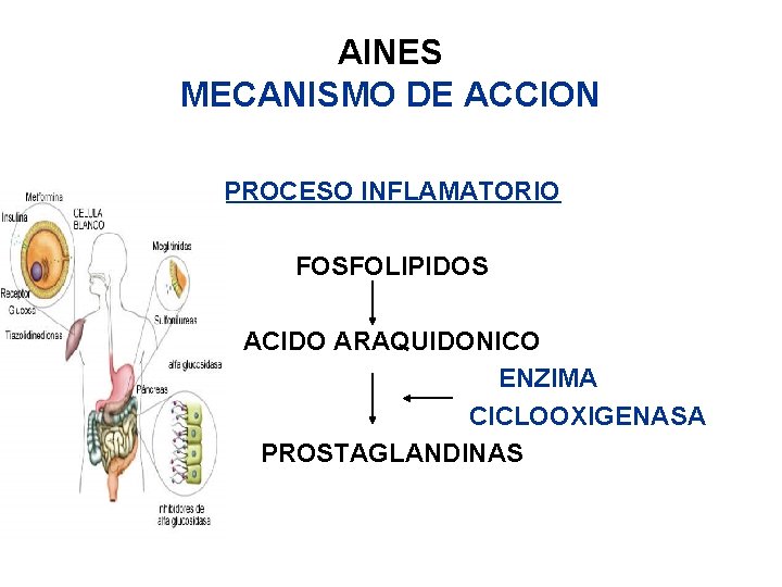 ANTIINFLAMATORIOS NO ESTEROIDEOS AINES ENF MANUEL BERNAL PARRRA